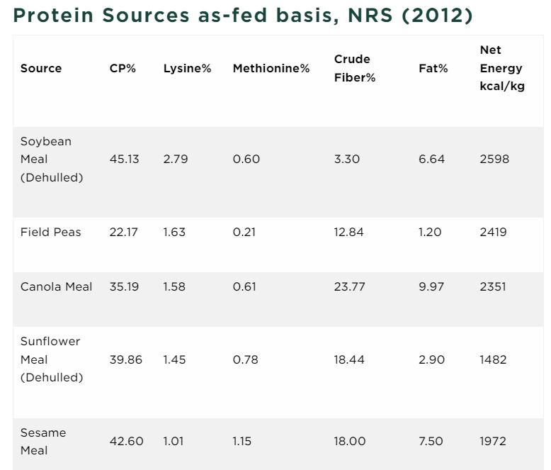 Tired of High Feed Bills? Consider Alternative Feed Sources | Pork Business